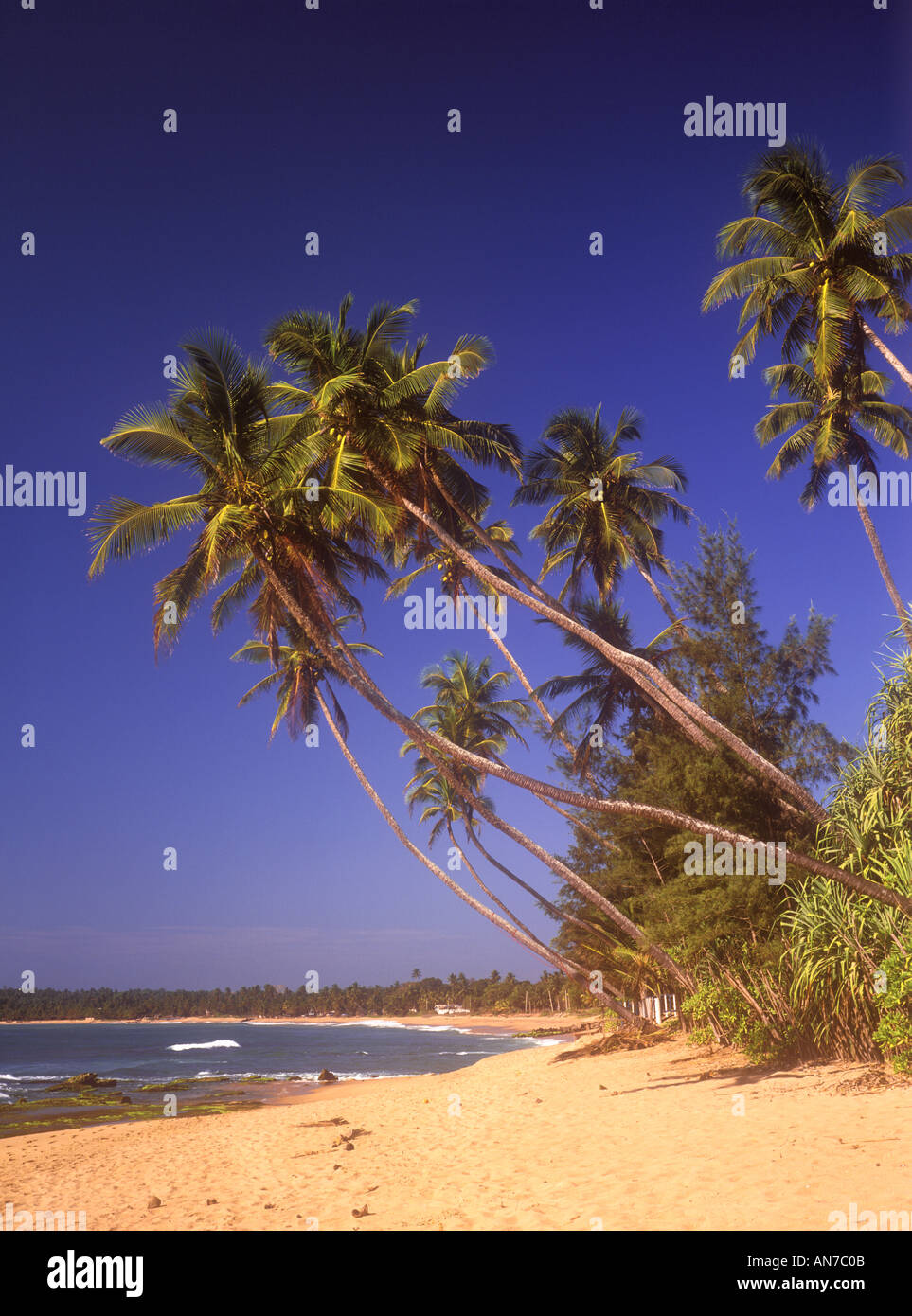 Tangalla bay sri lanka hi-res stock photography and images - Alamy