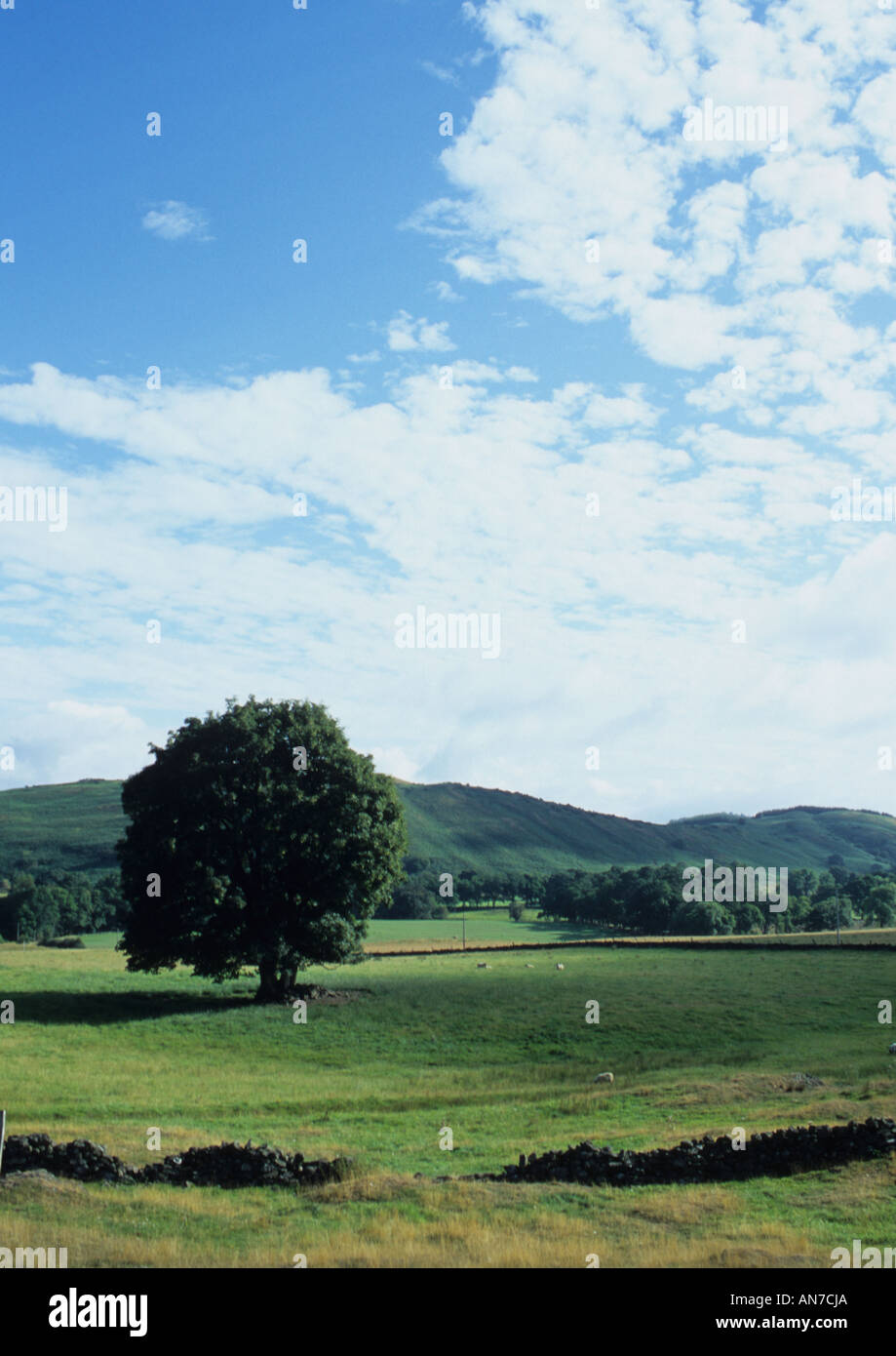 Perthshire Countryside in scotland Uk Stock Photo - Alamy