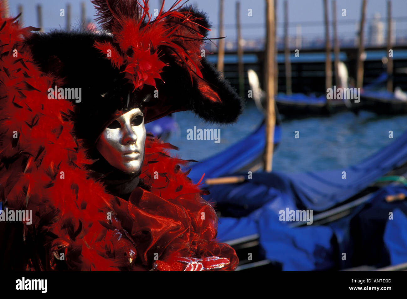 Silver ruff hi-res stock photography and images - Alamy