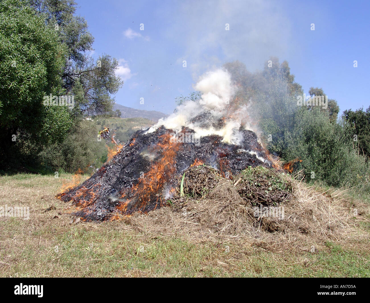 smoky garden bonfire fire flame flames flaming fire burn burns burning ...