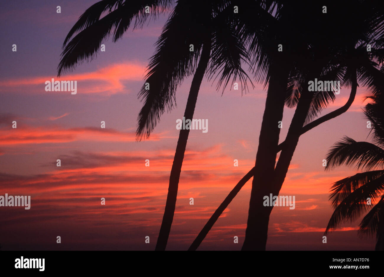 Goan landscape hi-res stock photography and images - Alamy