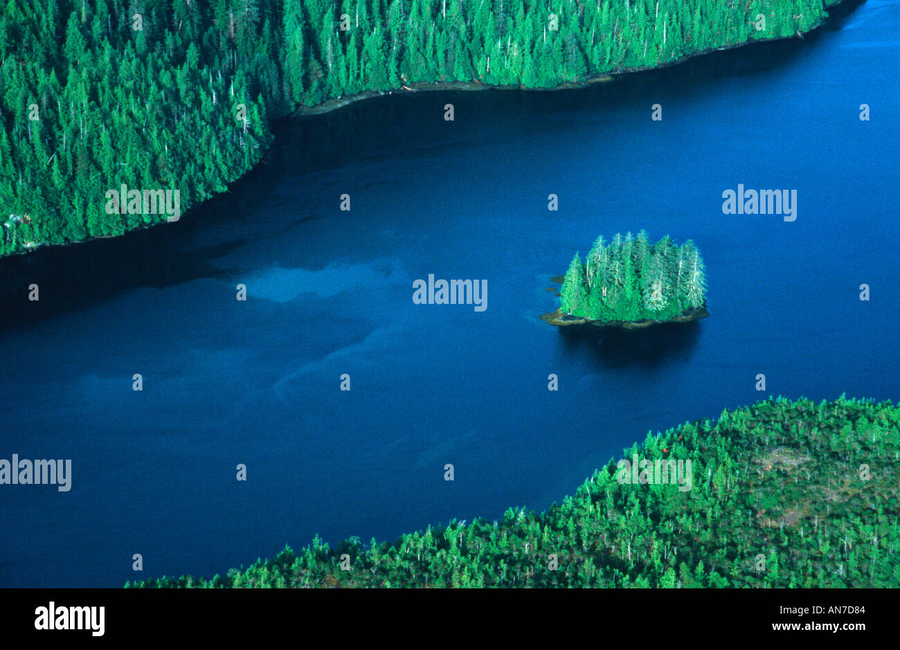 Colton trees hi-res stock photography and images - Alamy