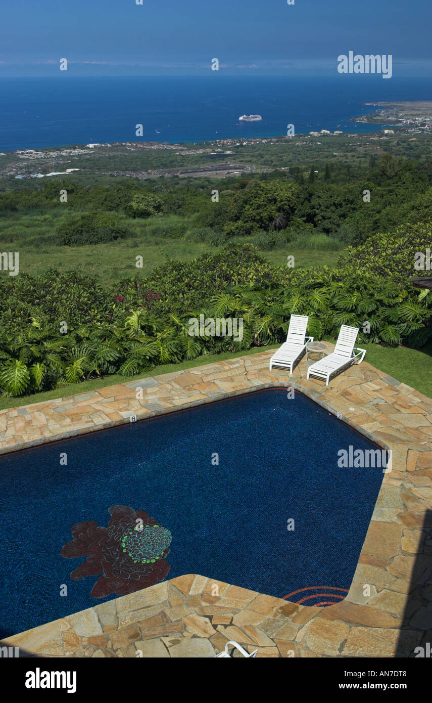 An irregularly shaped pool of dark blue tile with a hibiscus medallion ...