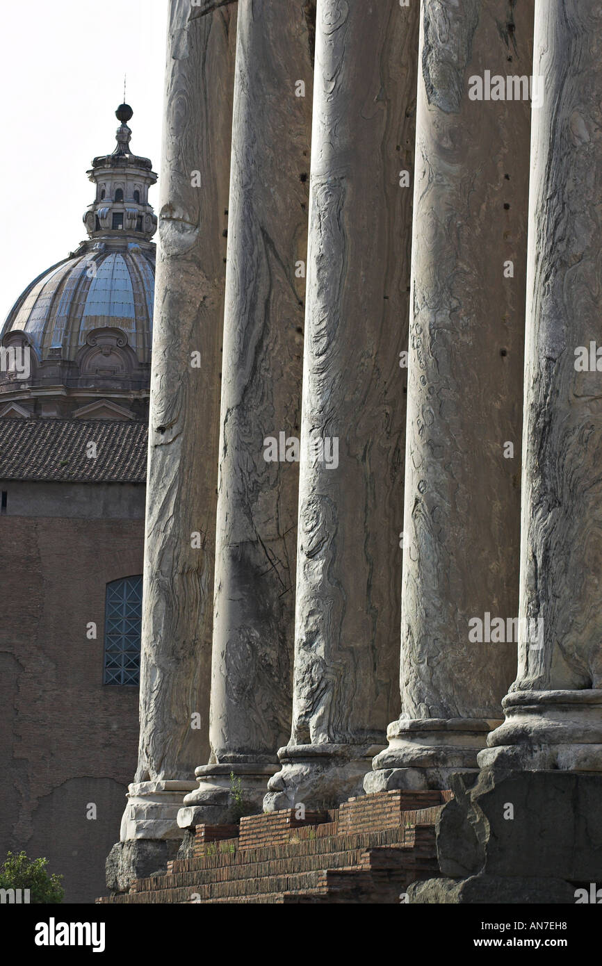 The time worn columns and steps of the Temple of Antoninus and Faustina ...