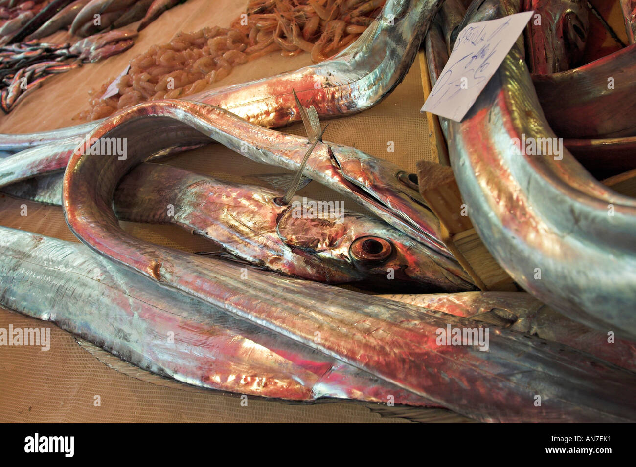 Silver scabbard fish hi-res stock photography and images - Alamy