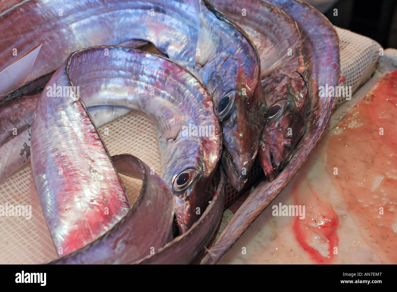 Silver scabbard fish hi-res stock photography and images - Alamy