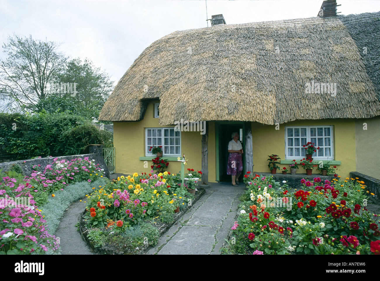 A thatched cottage with a colourful and well kept garden at Adare Stock ...