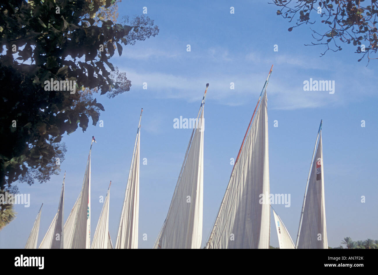 Felluca hi-res stock photography and images - Alamy