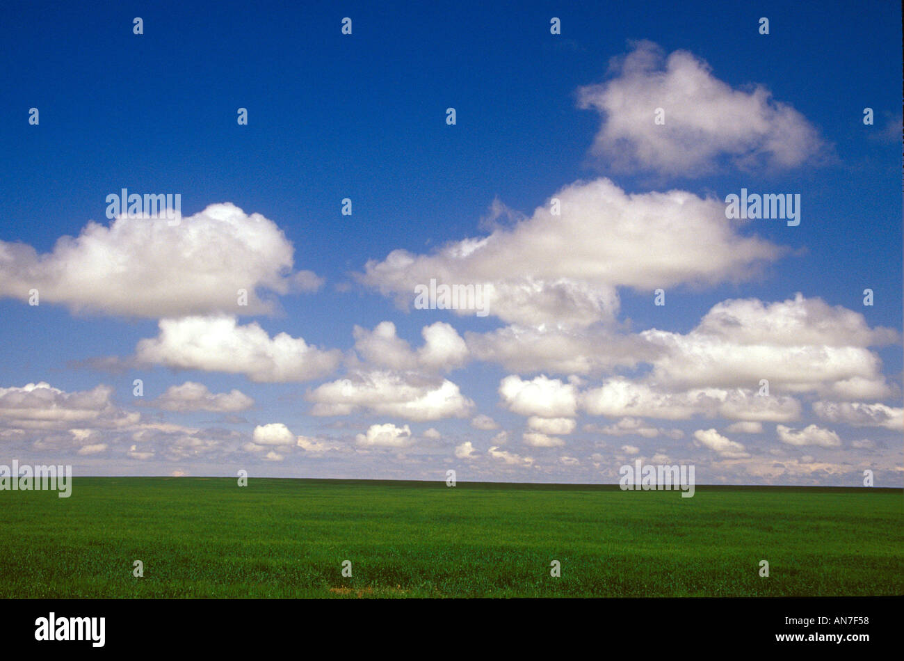 Eastern colorado plains hi-res stock photography and images - Alamy