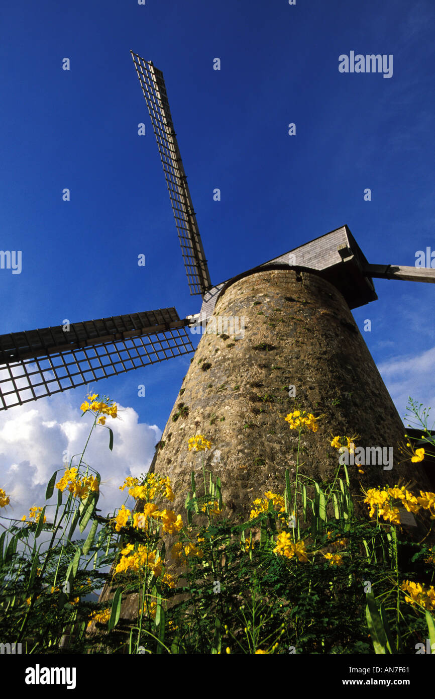 Barbados, St Andrew, Windmill, Morgan Lewis Mill Stock Photo - Alamy