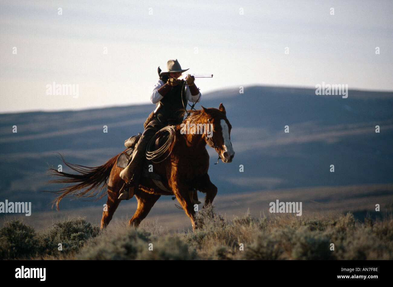 Cowboy with rifle hi-res stock photography and images - Alamy