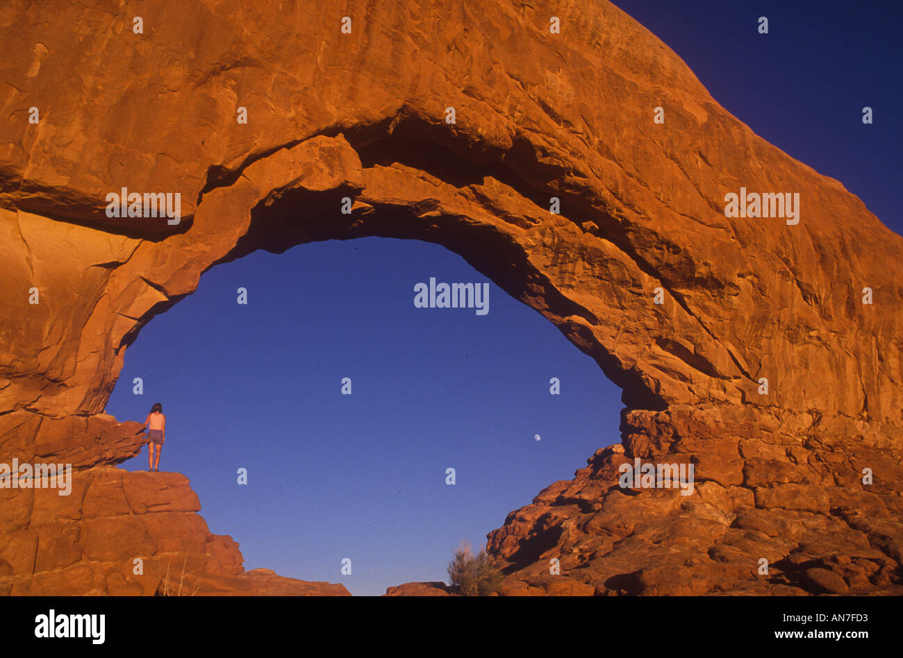 Woman gazing at the moon hi-res stock photography and images - Alamy