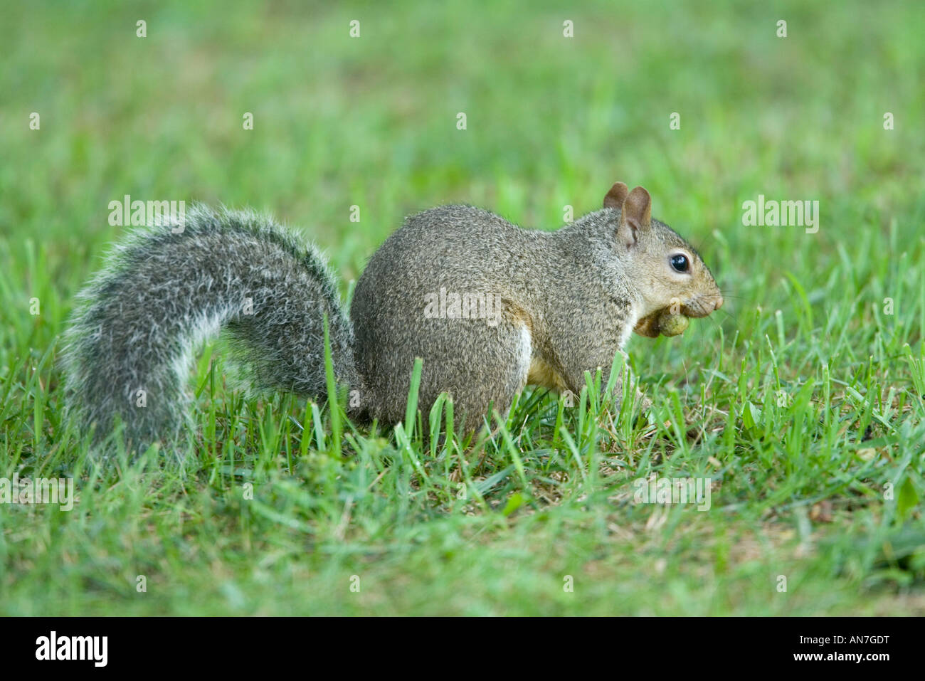 Marionville missouri hi-res stock photography and images - Alamy