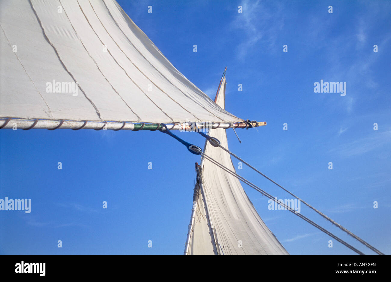 Felluca hi-res stock photography and images - Alamy