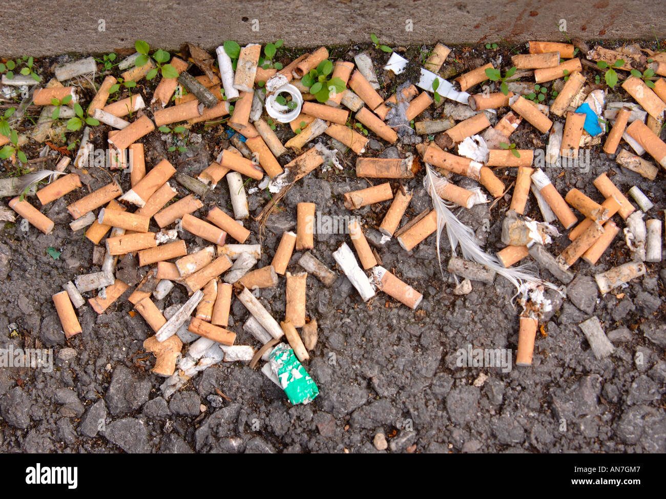 CIGARETTE STUBS LYING IN THE GUTTER IN AN URBAN LOCATION UK Stock Photo ...