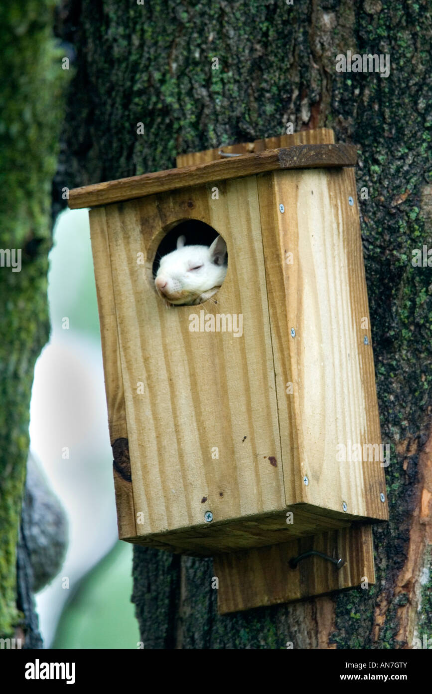 Marionville hi-res stock photography and images - Alamy