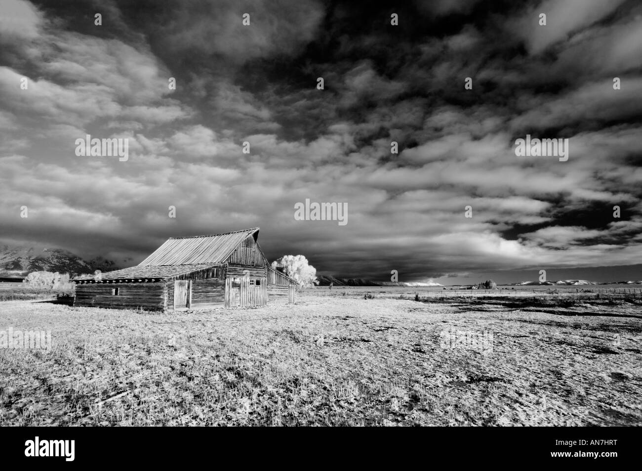 Mormon bar hi-res stock photography and images - Alamy