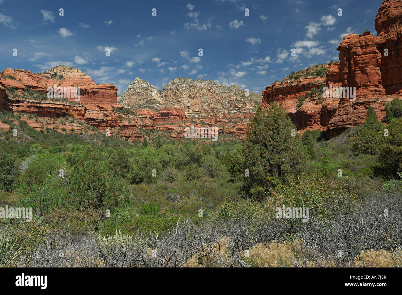 Long Canyon Trail view point Stock Photo - Alamy