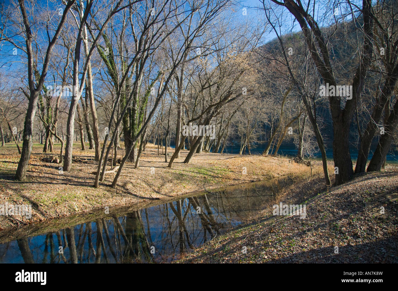 Winter stream in forest with tree and sky reflections in the still ...