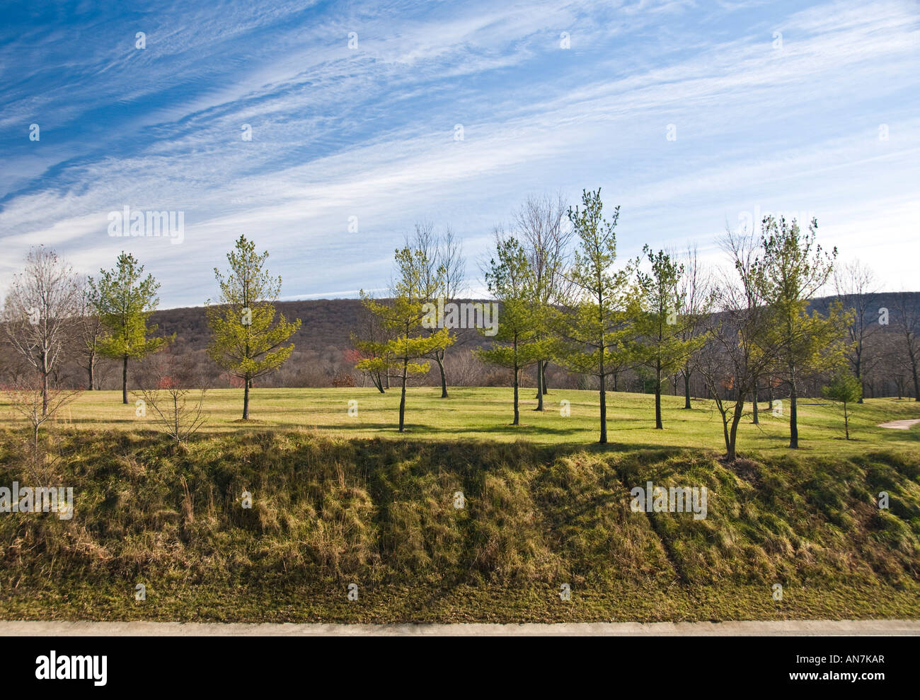 A steep winter embankment with grass and trees on top and a hill in the ...
