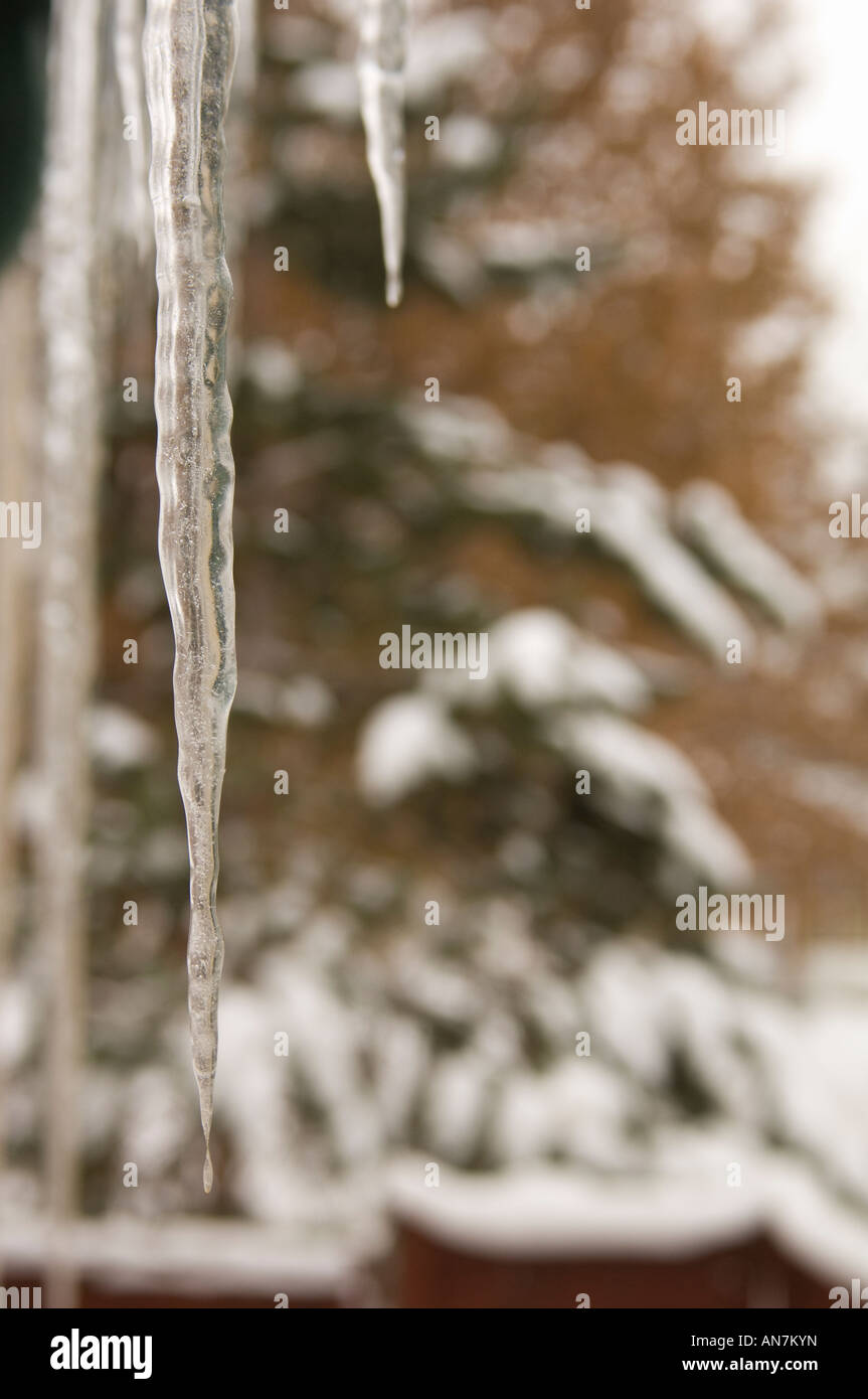 ICICLES HANGING FROM A ROOF Stock Photo - Alamy