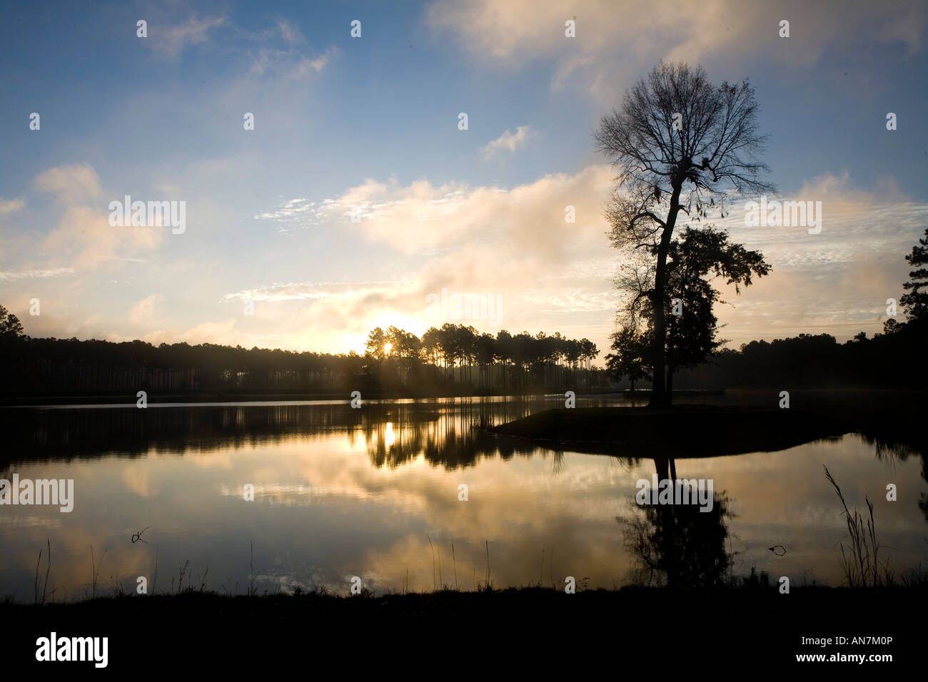 Harvest Lake Hampton Island Preserve Georgia sunrise Stock Photo - Alamy