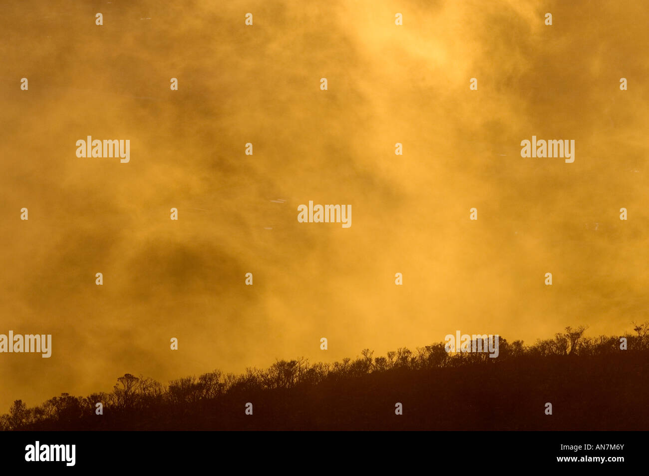 Mt william national park hi-res stock photography and images - Alamy