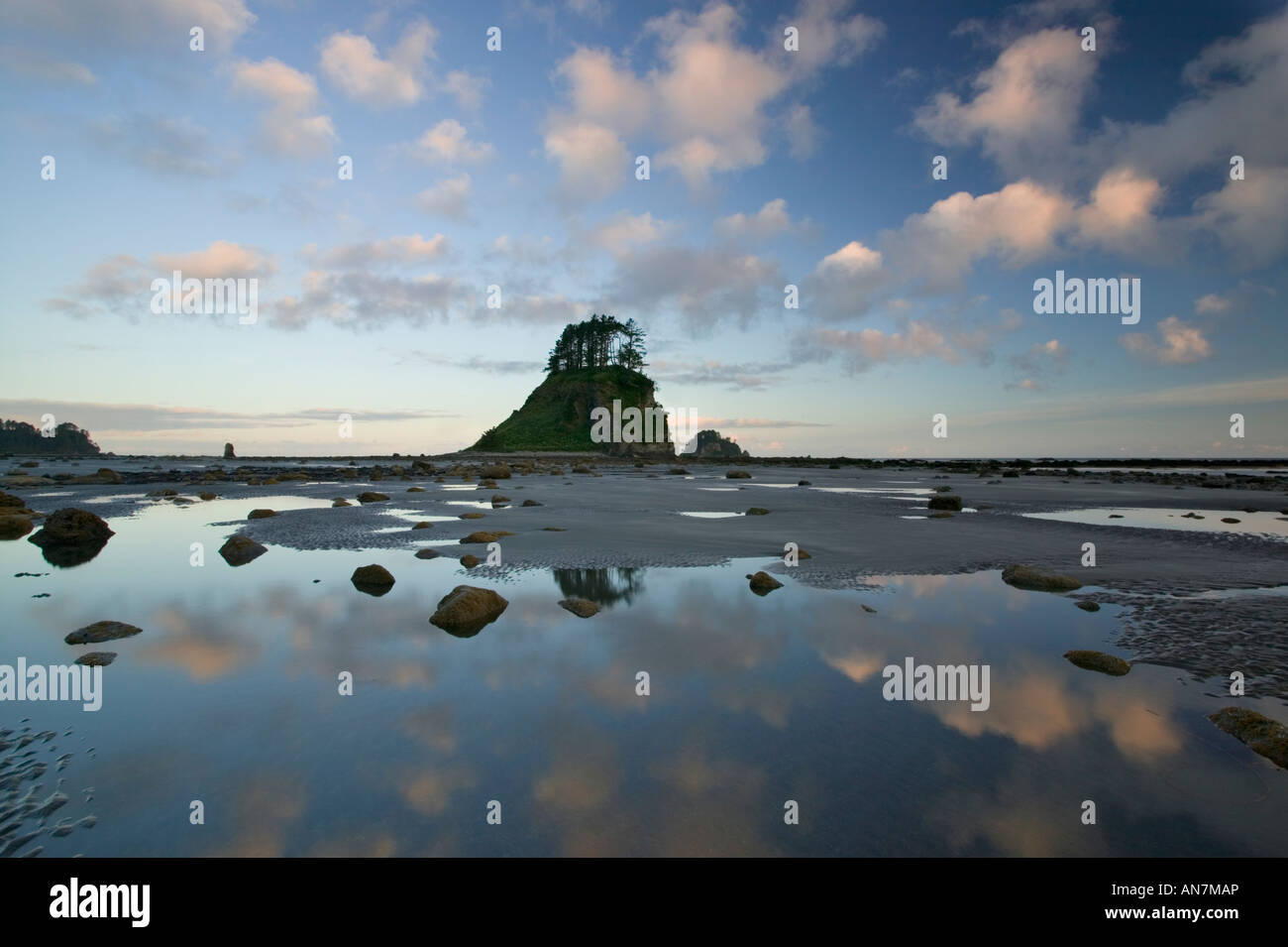 Cape Alava sunrise Olympic national park Stock Photo - Alamy