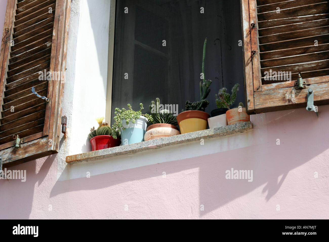 Plants on window ledge Stock Photo - Alamy