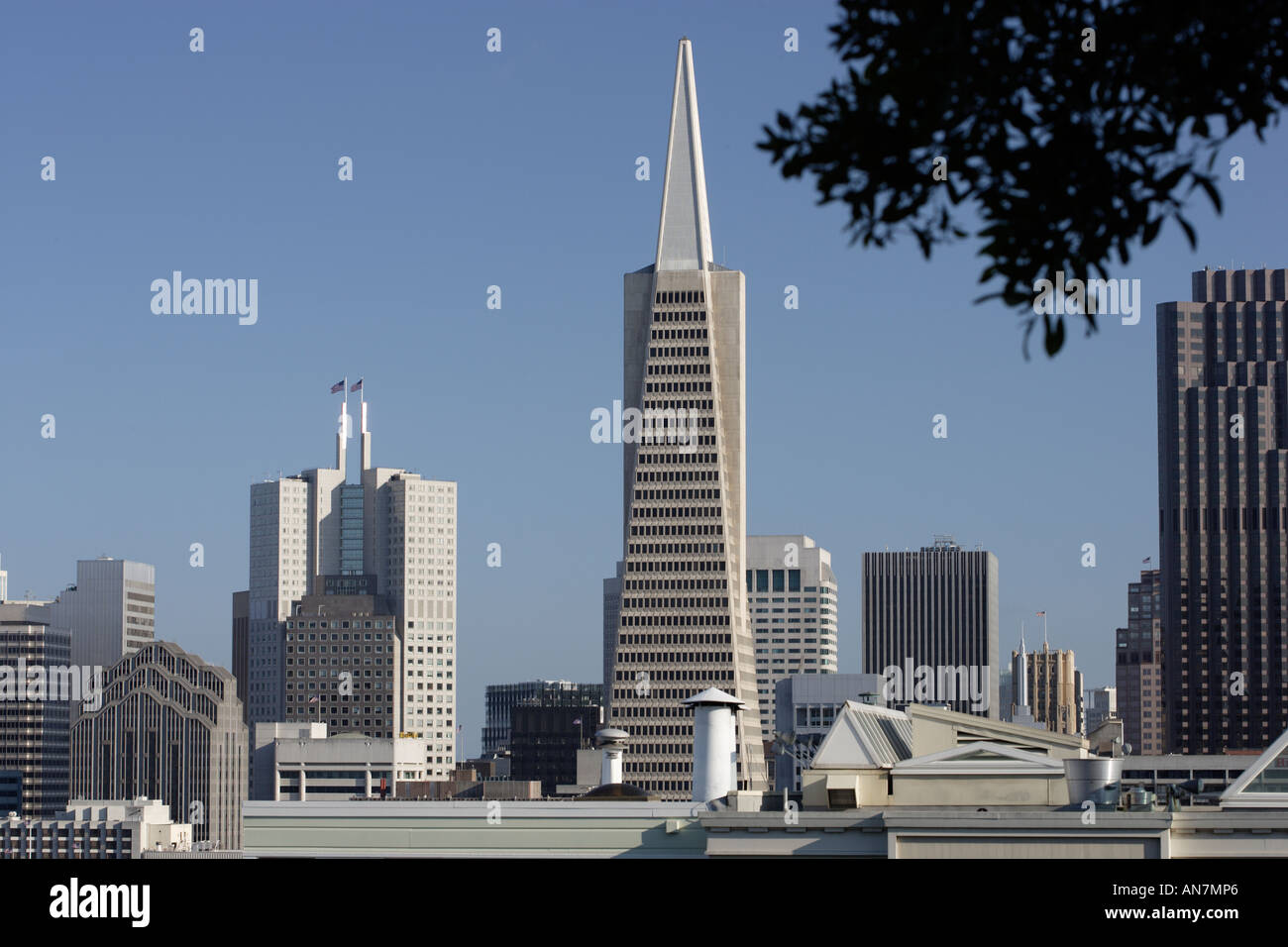 City of San Francisco Downtown financial district Trans America ...