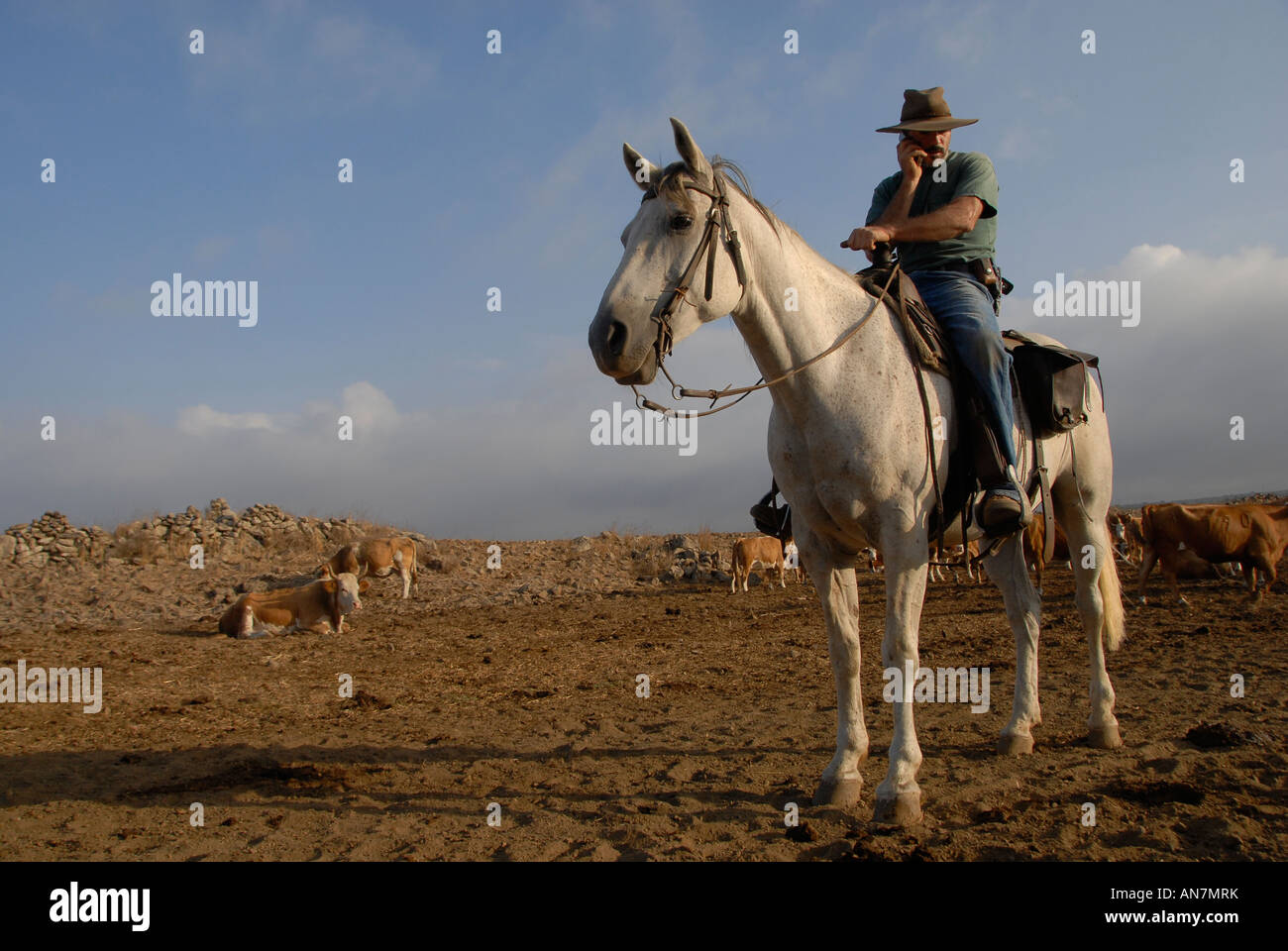 Israeli cattle rancher Avshi Ferstman from the village of Had-Nes ...