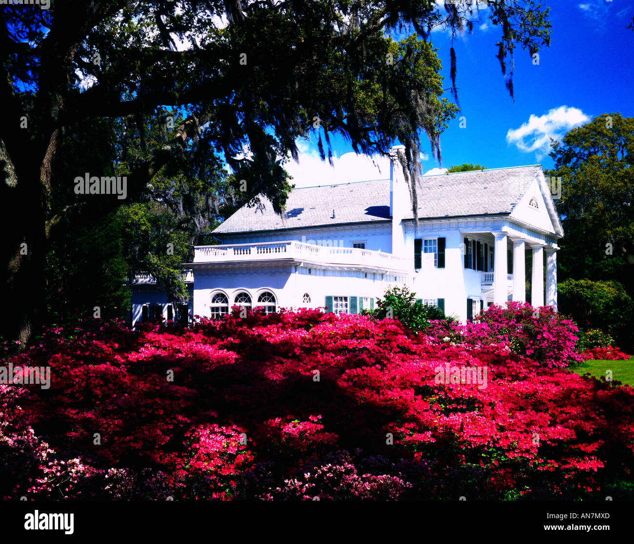 Orton plantation hi-res stock photography and images - Alamy