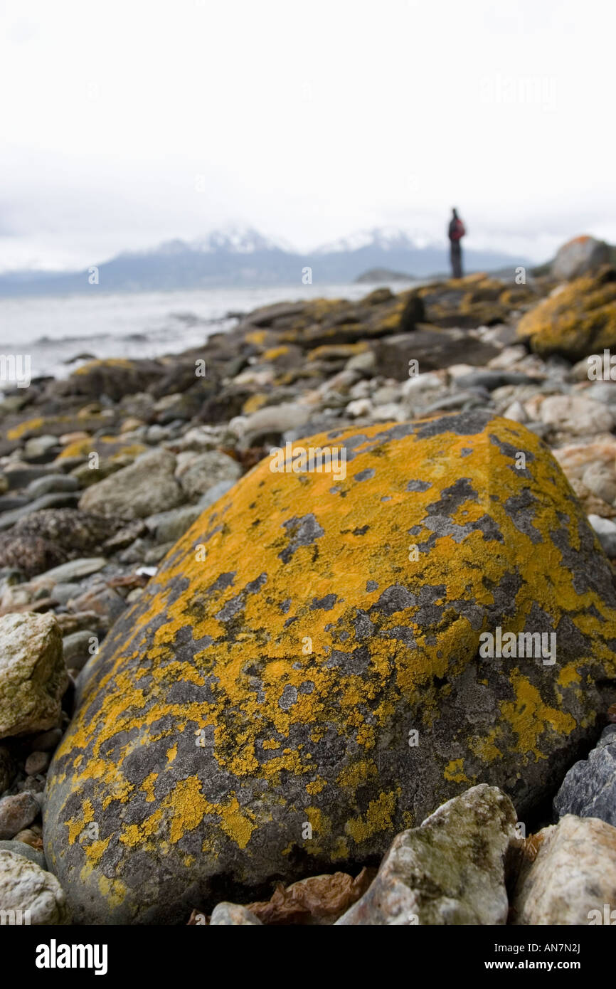 Distant Figure on Stoney Beach Stock Photo - Alamy