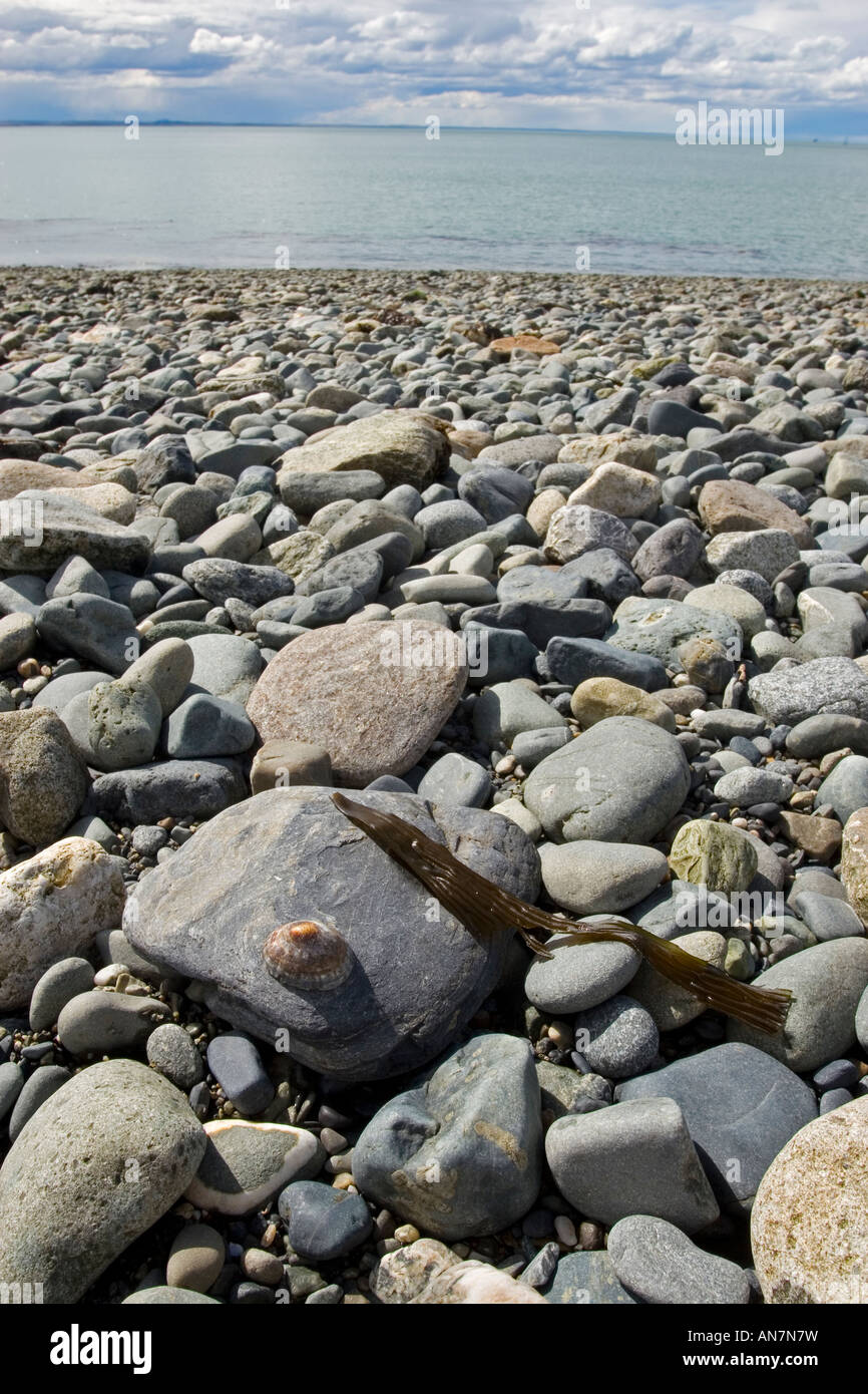 Water sea beach stoney relax hi-res stock photography and images - Alamy
