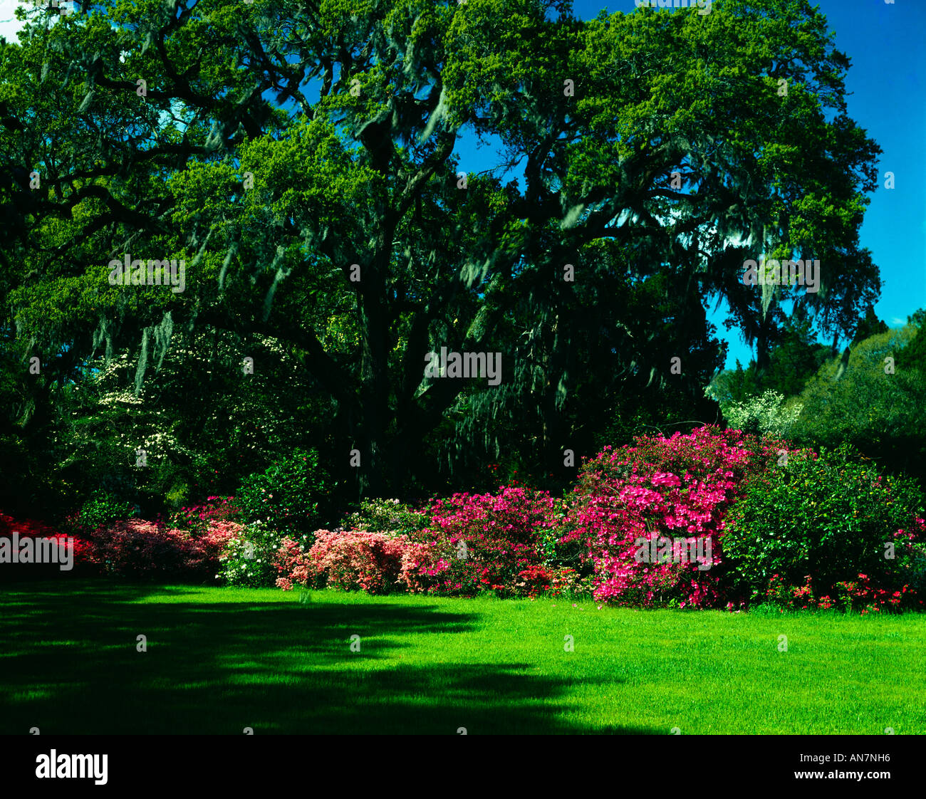 Are Dogs Allowed At Airlie Gardens