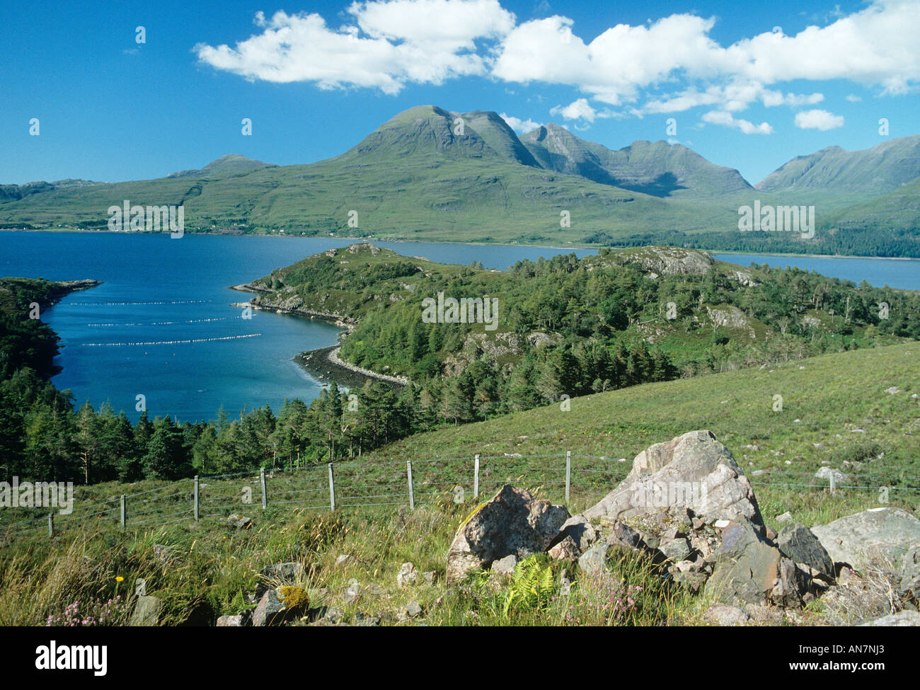 A view across one of Loch Torridon s tree covered inlets towards Benn ...