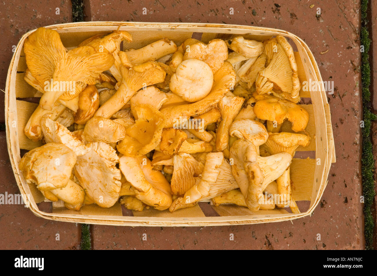 Punnet of exotic mushrooms Stock Photo - Alamy