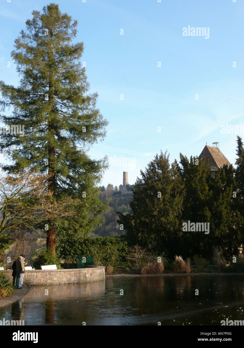 Schlosspark weinheim in winter hi-res stock photography and images - Alamy