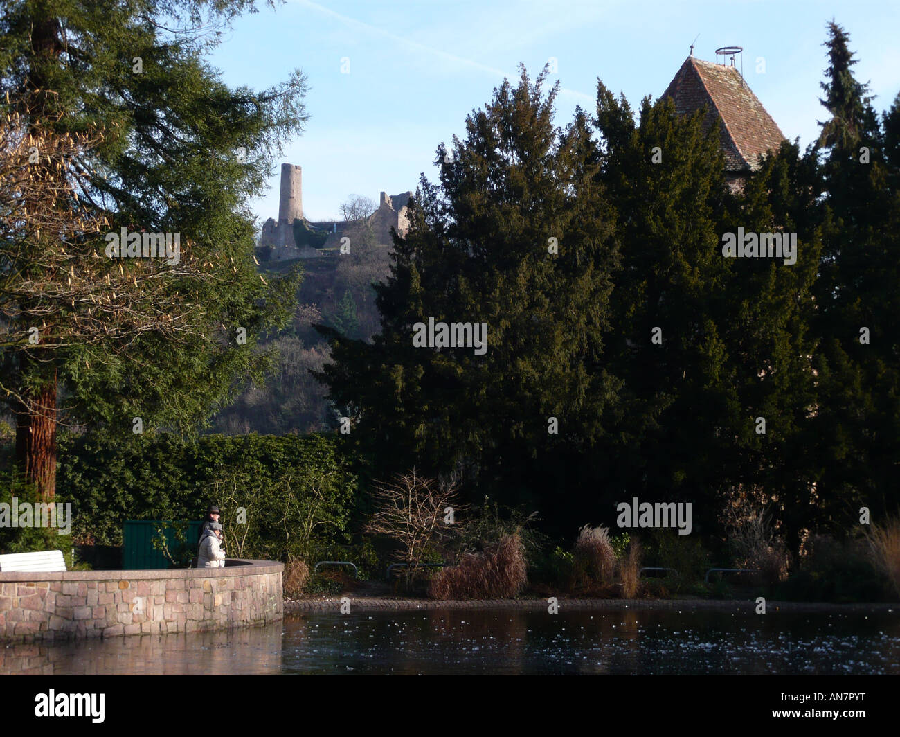 Schlosspark weinheim in winter hi-res stock photography and images - Alamy