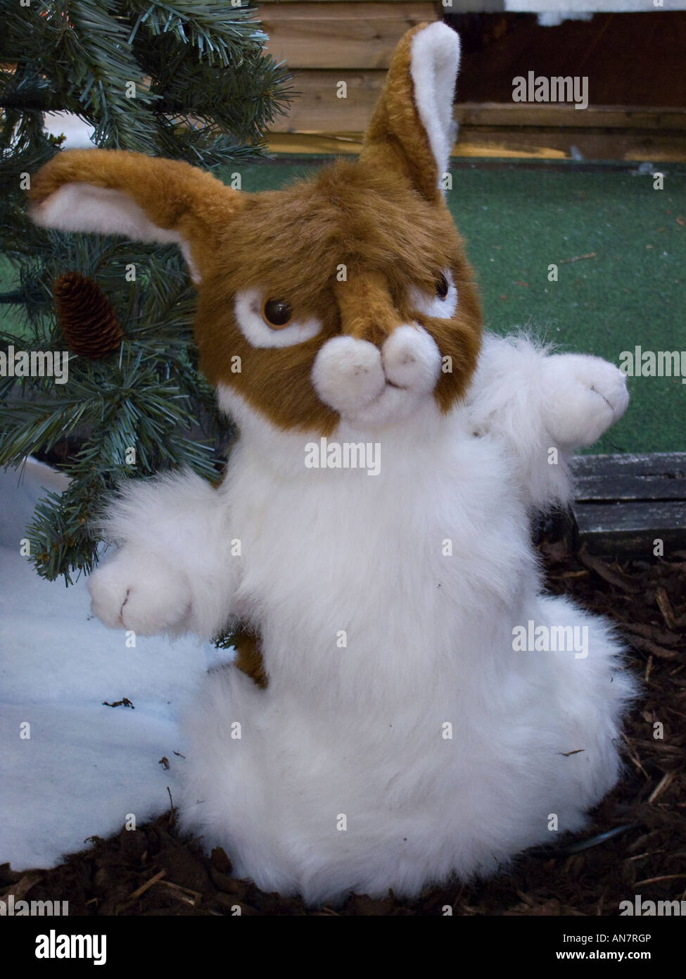 Unhappy rabbit hi-res stock photography and images - Alamy