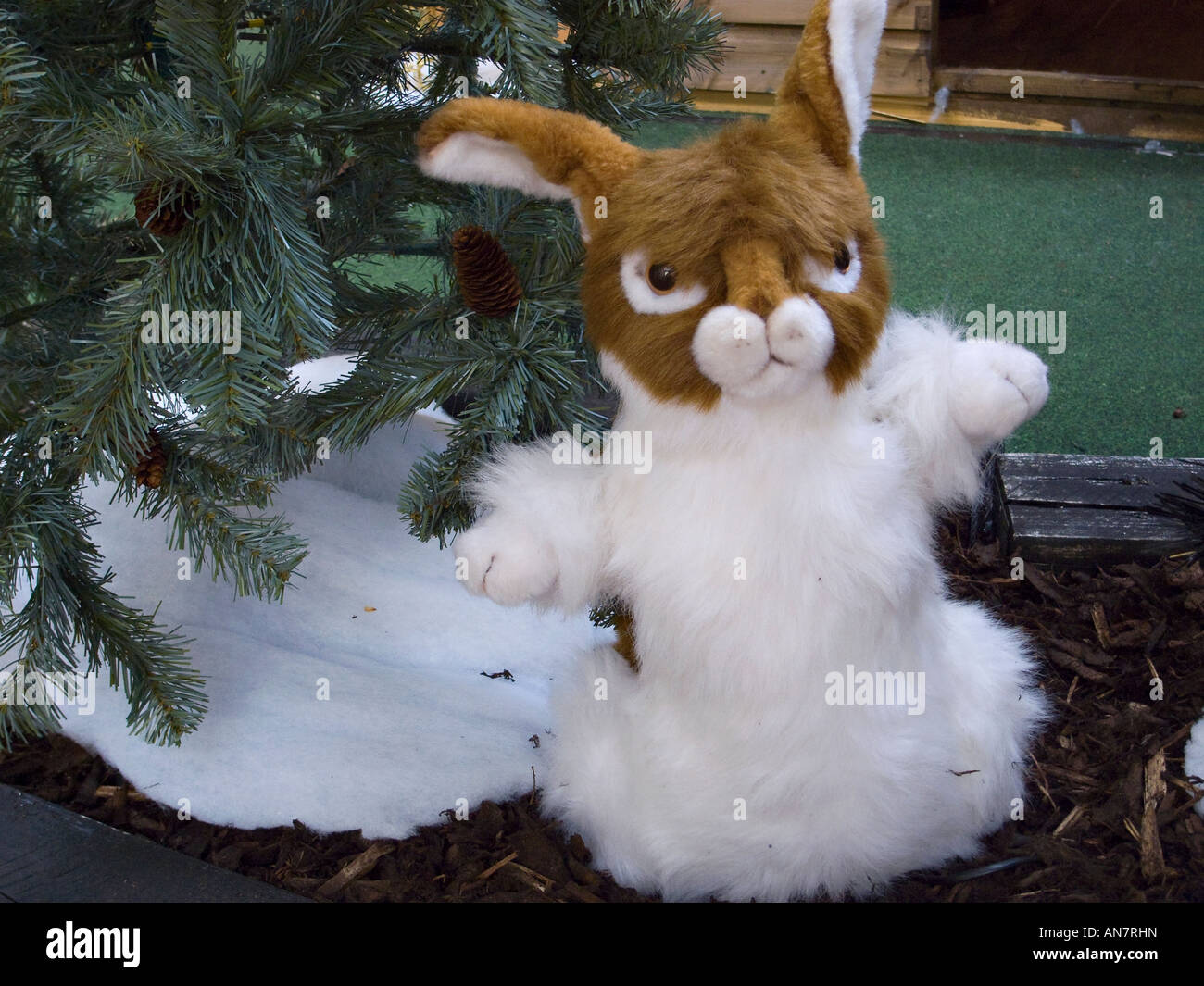 Bunny rabbit hi-res stock photography and images - Alamy