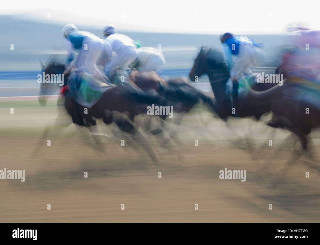 Race horses at speed Stock Photo - Alamy