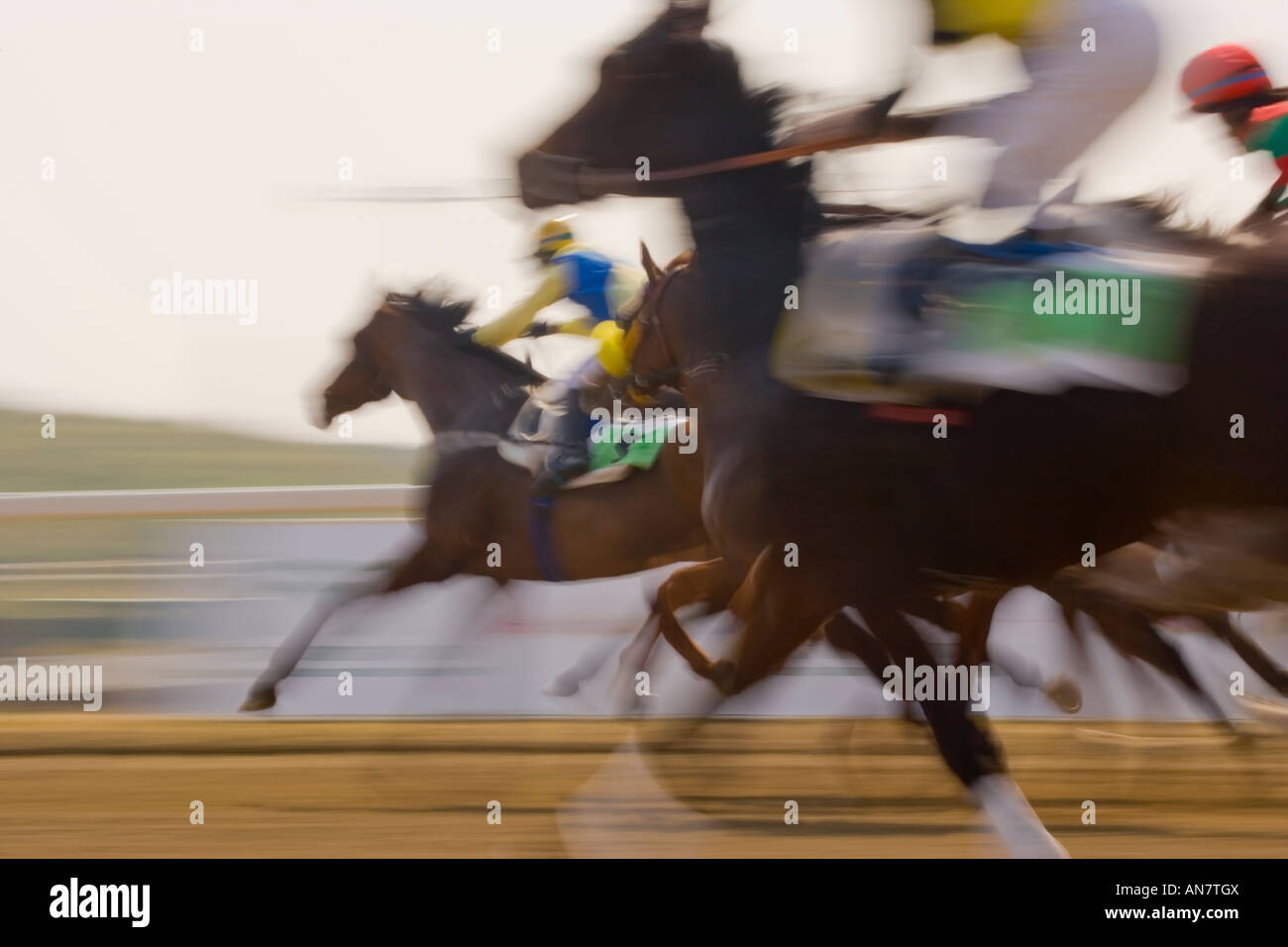 Race horses at speed Stock Photo - Alamy