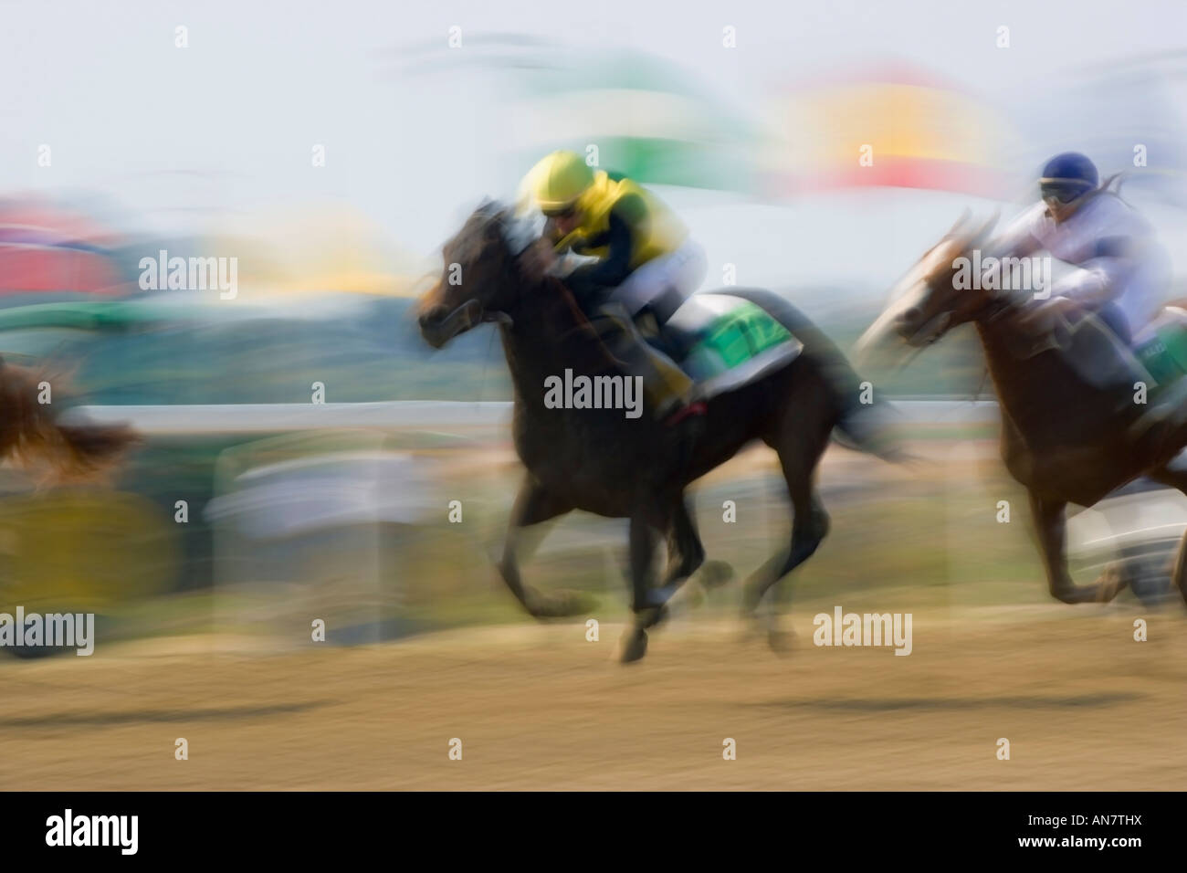 Race horses at speed Stock Photo - Alamy