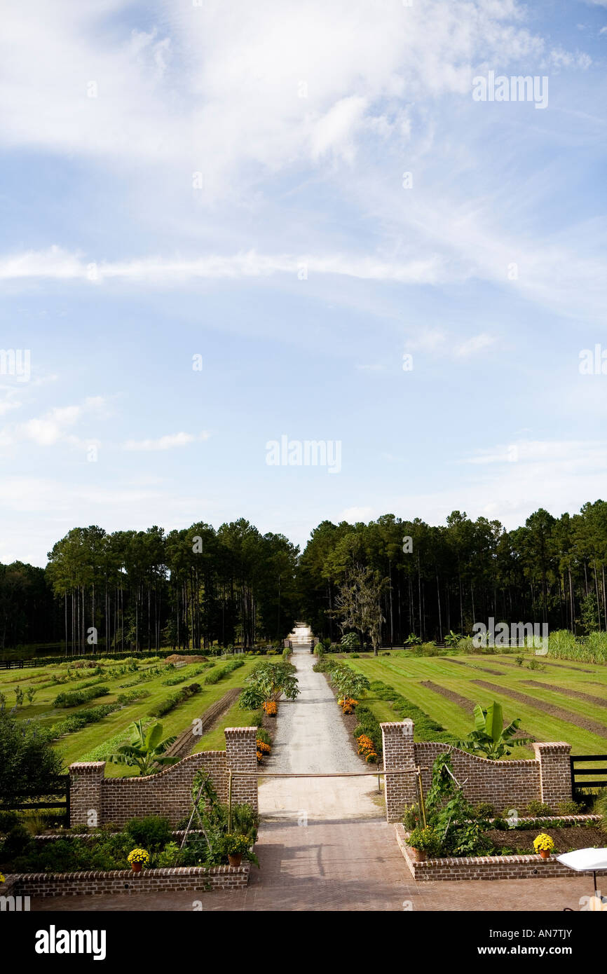 view from the organic farm Hampton Island Preserve Georgia Stock Photo ...