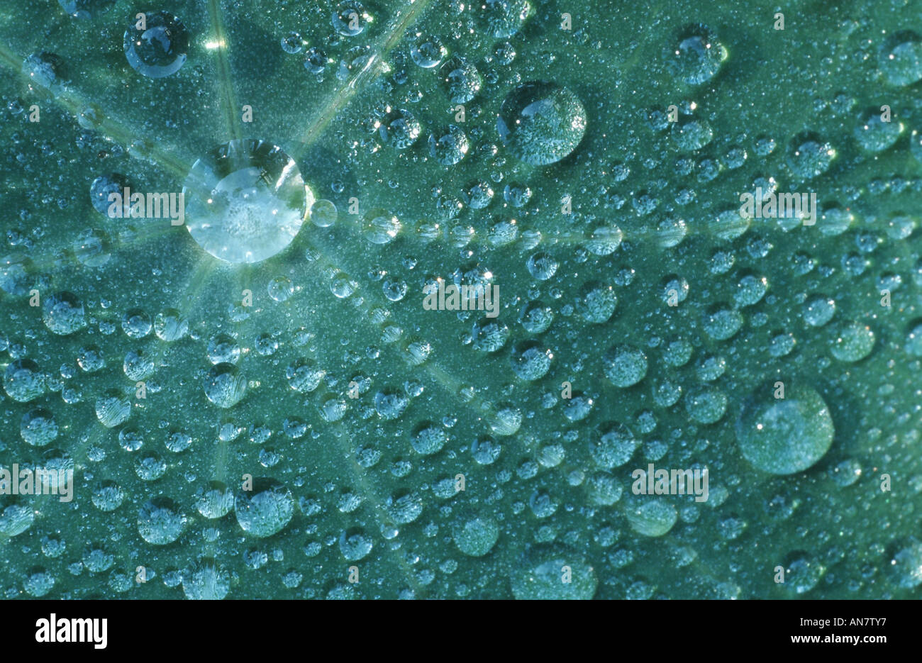 Multiple water drop photography hi-res stock photography and images - Alamy