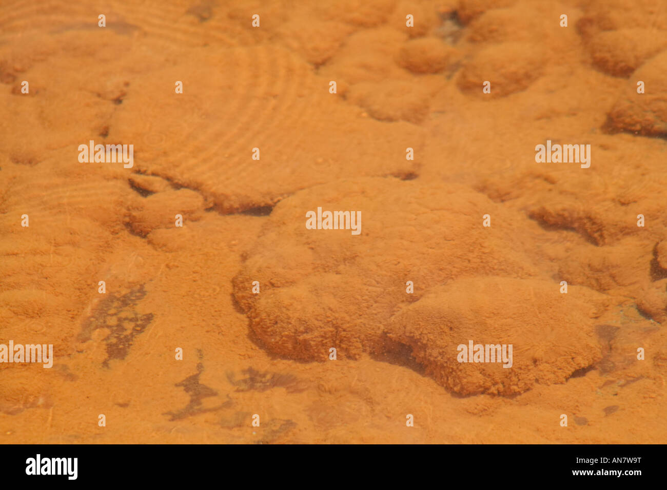 Edge of the Champagne Pool, Wai-O-Tapu Thermal Wonderland, New Zealand ...