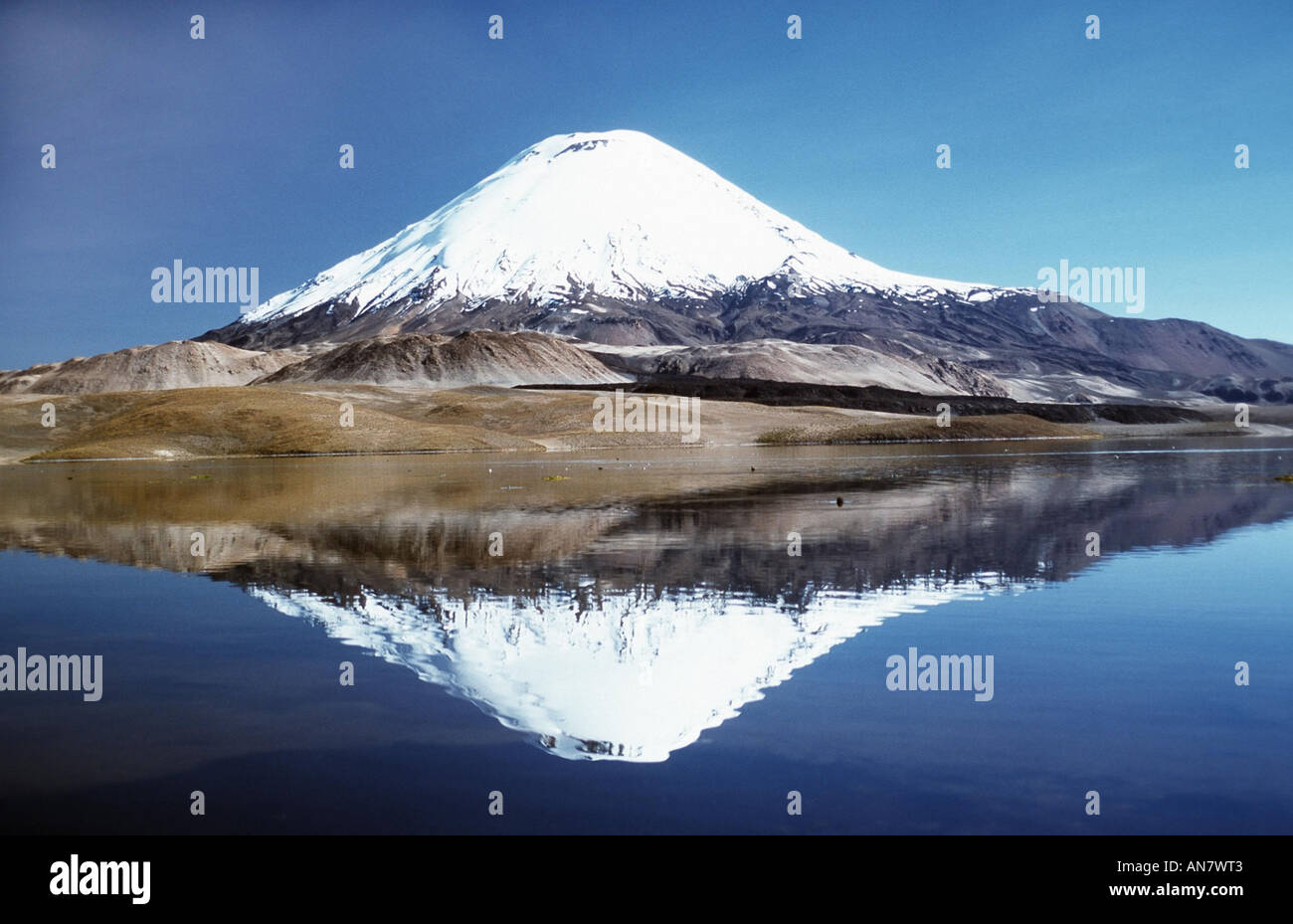 Volcano Parinacota, with reflexion mirror in Lago Chungara, Chile ...
