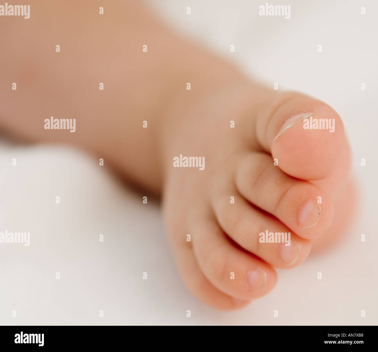 7 month old babys foot Stock Photo - Alamy