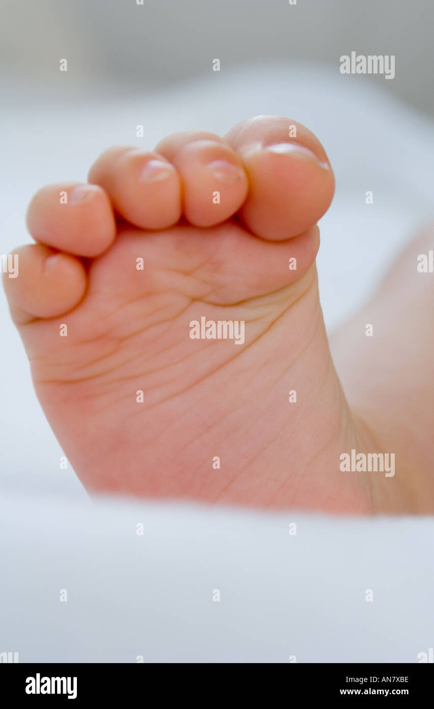 7 month old babys foot Stock Photo - Alamy